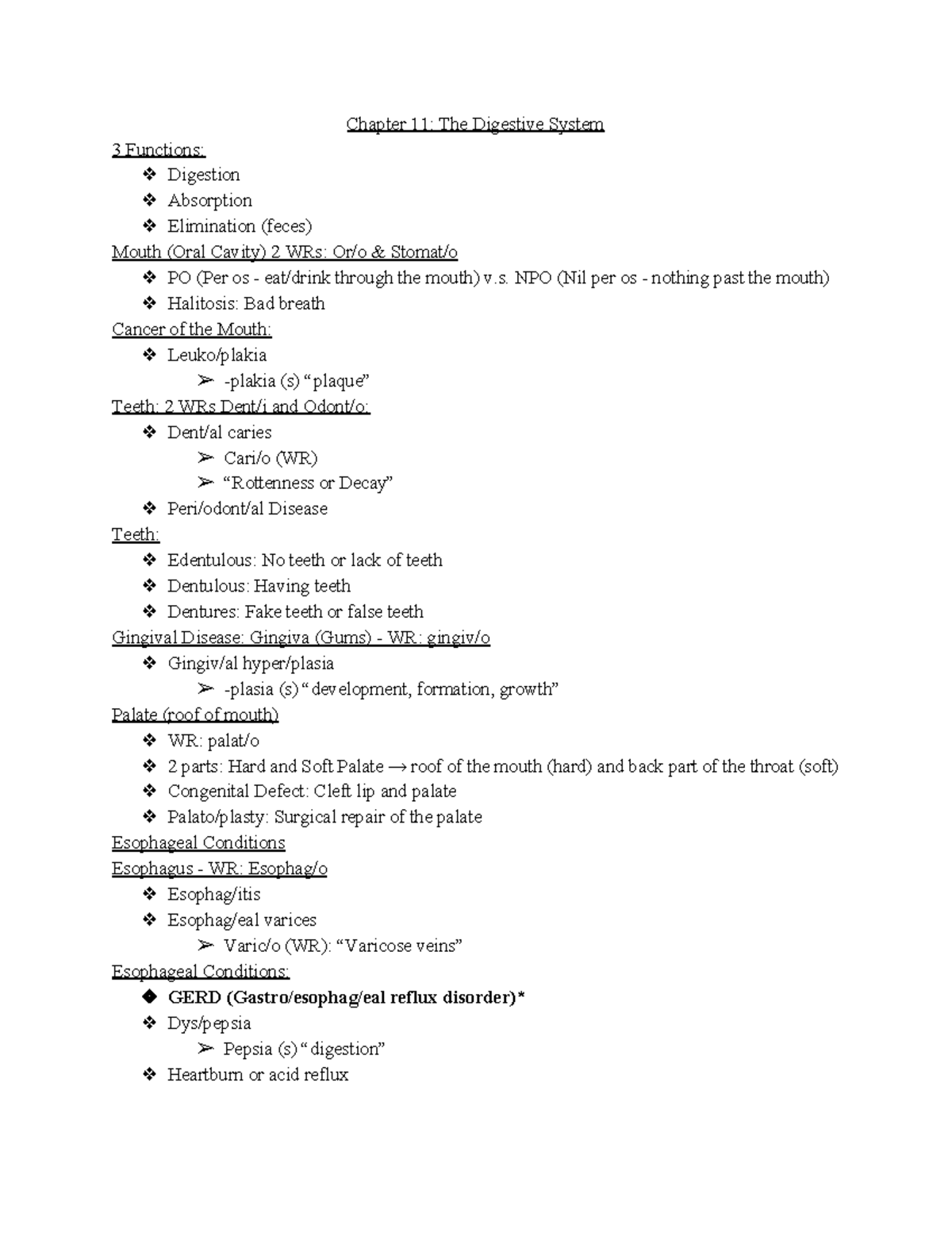 Chapter 11 The Digestive System - Chapter 11: The Digestive System 3 ...
