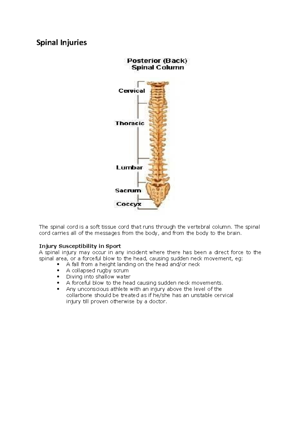 Spinal Injuries-1 - Spinal Injuries The spinal cord is a soft tissue ...