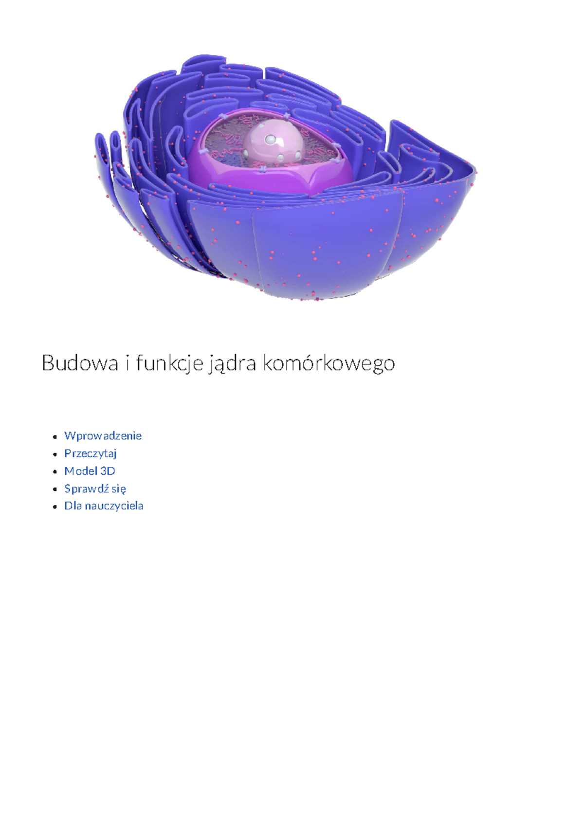 Budowa i funkcje jadra komorkowe - Budowa i funkcje jądra komórkowego ...