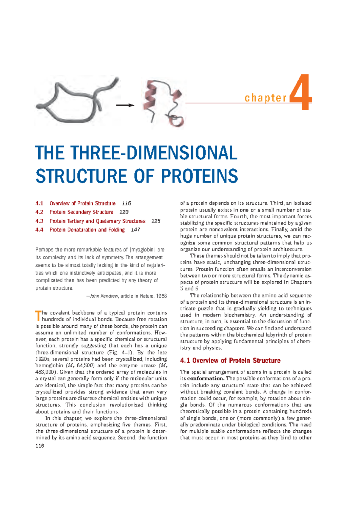 E Chapter 3 Protein structure - chapter THE THREE-DIMENSIONAL STRUCTURE ...