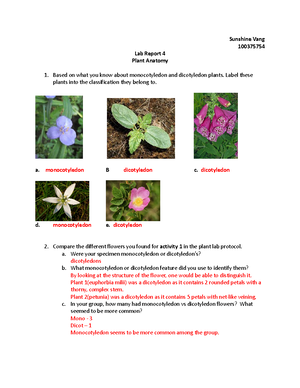 LAB 5 - Animal Phylogeny Protocol - Biology 001 Laboratory Exercise 5 ...