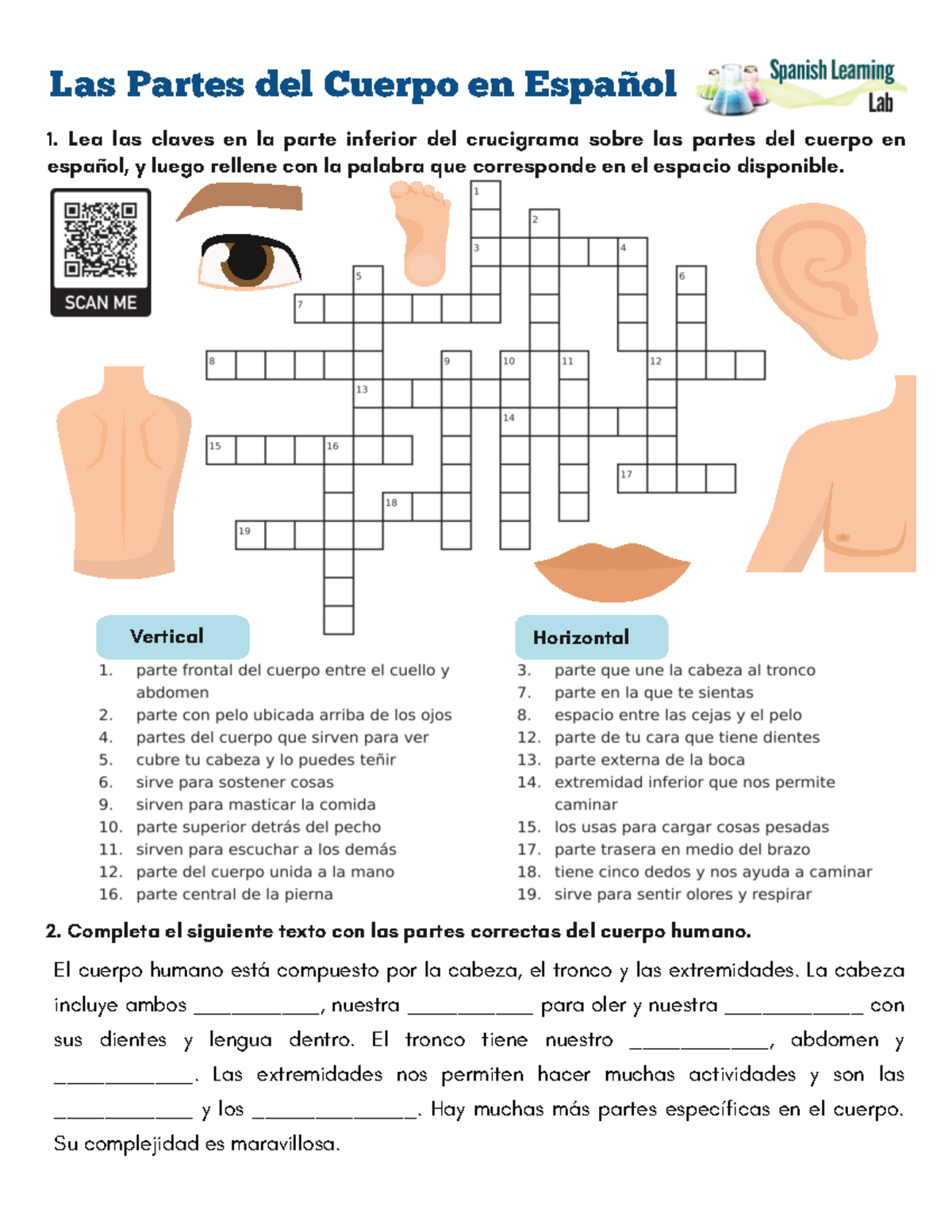 Crucigrama partes del cuerpo espanol con respuestas - El cuerpo humano ...