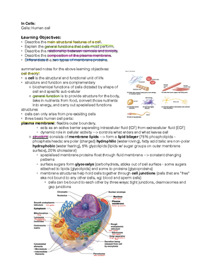 HSC Biology Notes Module 5 - MODULE 5 IQ #1 How Does Reproduction ...