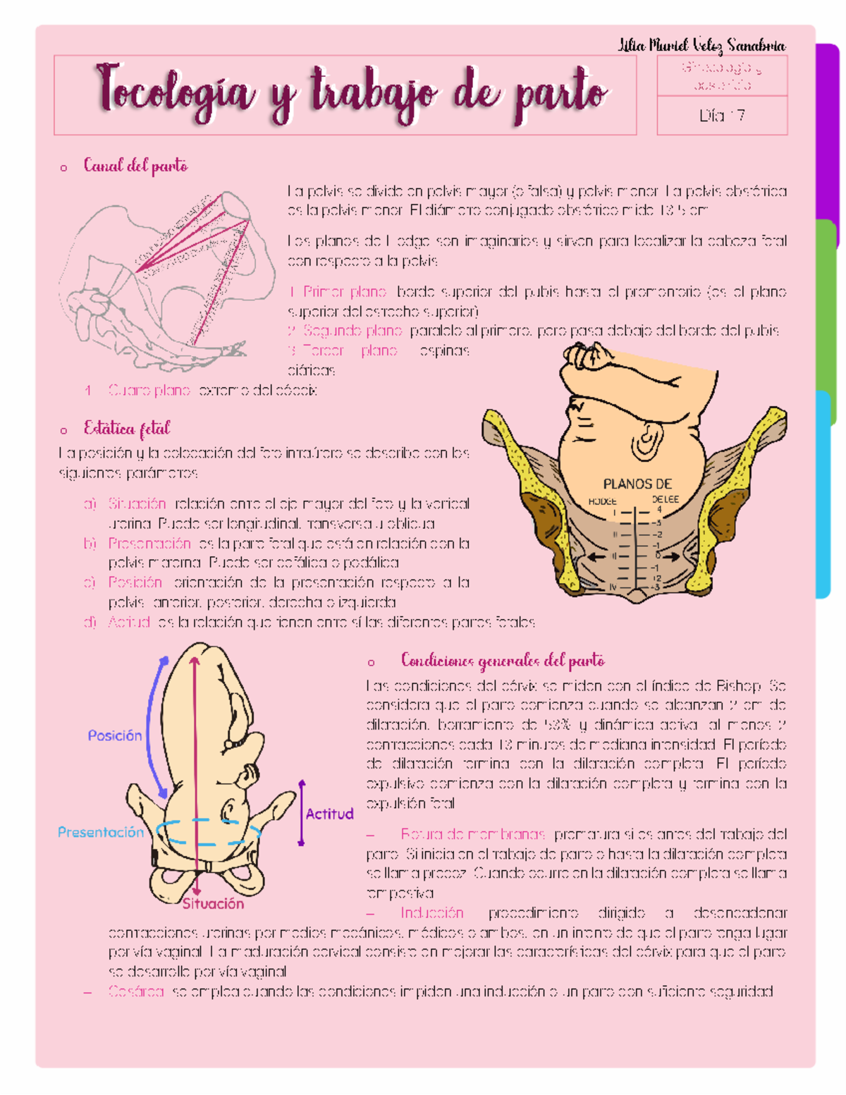 Resumen: Trabajo de parto, elementos de tocología, distocias ...