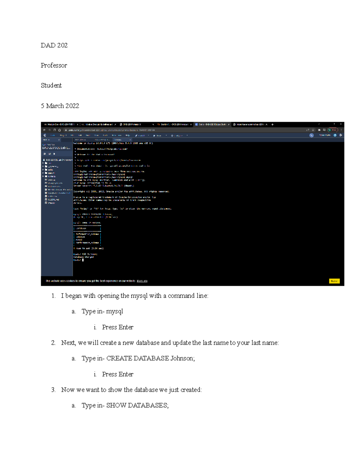 Johnson Module one lab - DAD 202 Professor Student 5 March 2022 I began ...