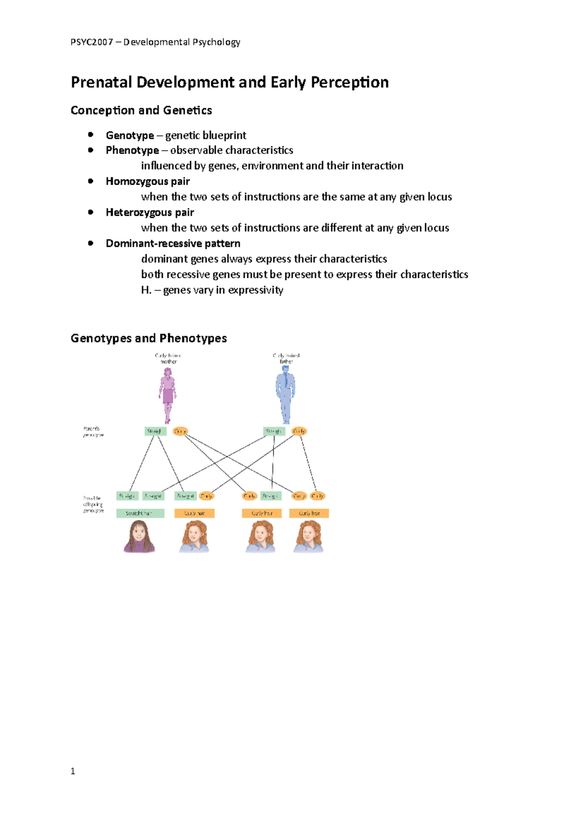 Prenatal development and early perception - week 2 - Prenatal ...