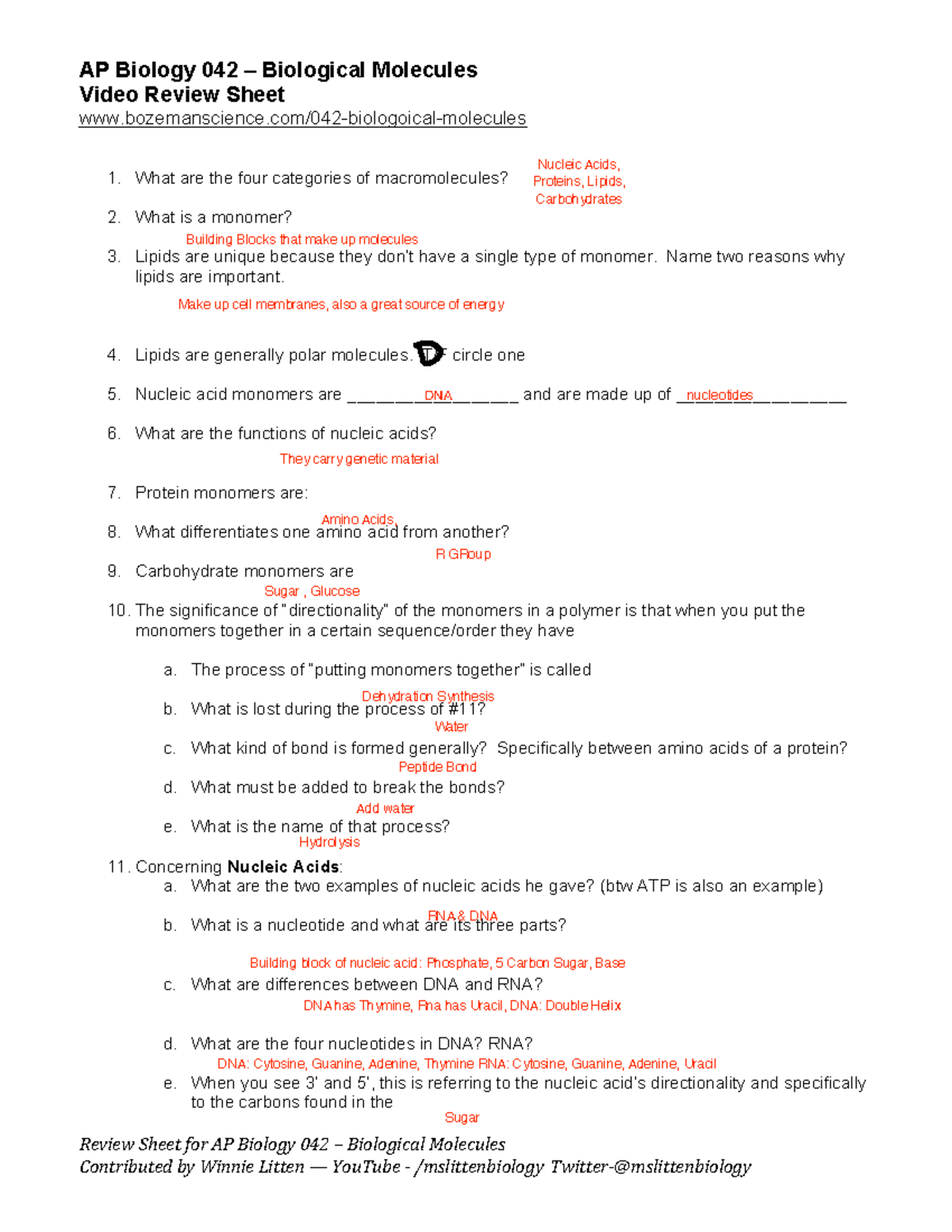 AP+Bio-042+Biological+Molecules+Worksheet-WL - - Studocu