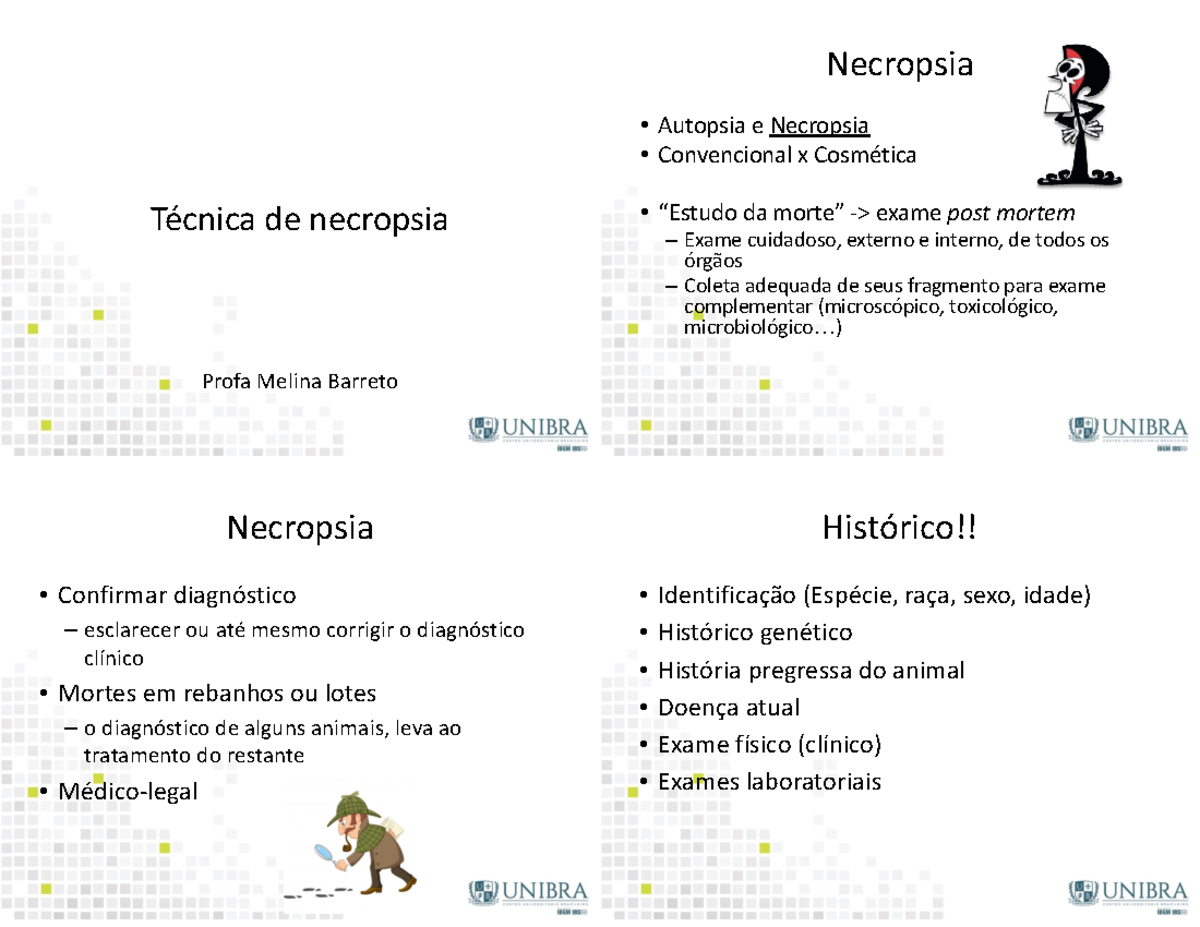 Aula 03 - Técnicas de Necropsia - Profa Melina Barreto Técnica de ...