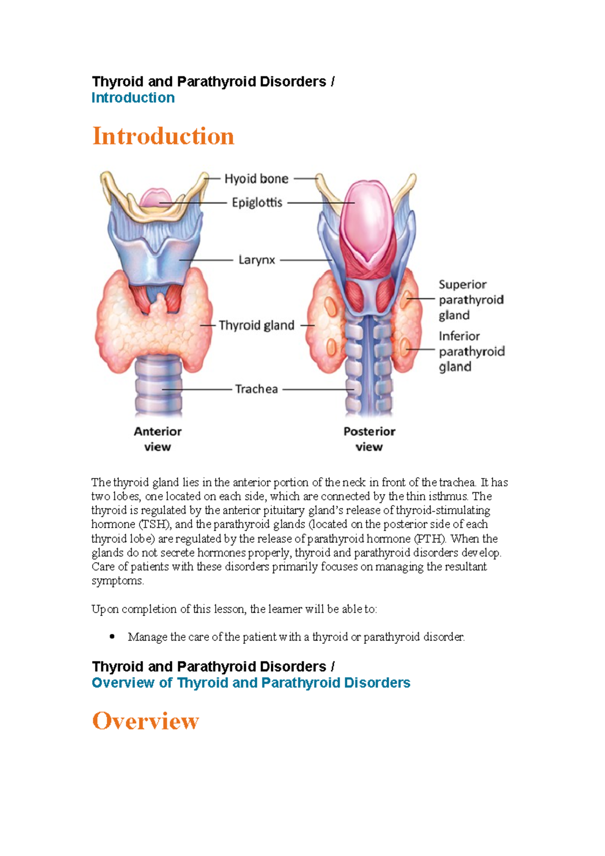 Thyroid and Parathyroid Disorders - It has two lobes, one located on ...
