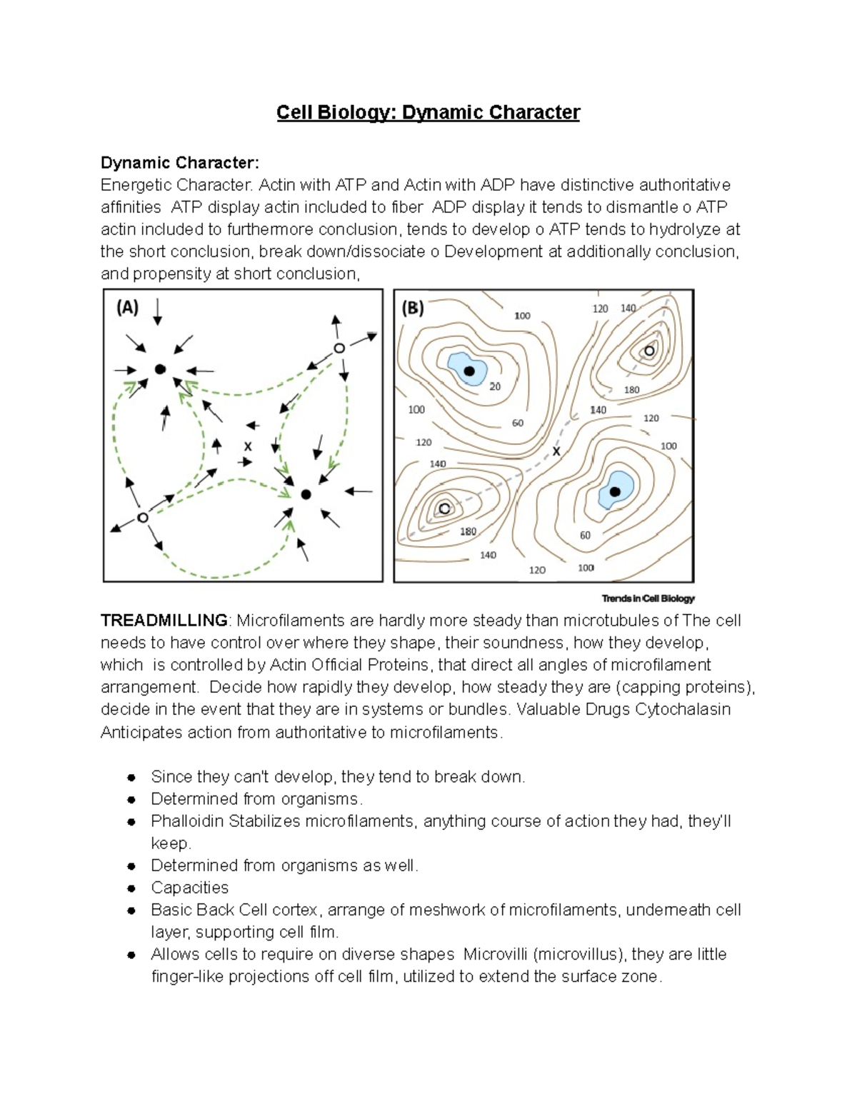 Cell Biology Dynamic Character - Cell Biology: Dynamic Character ...