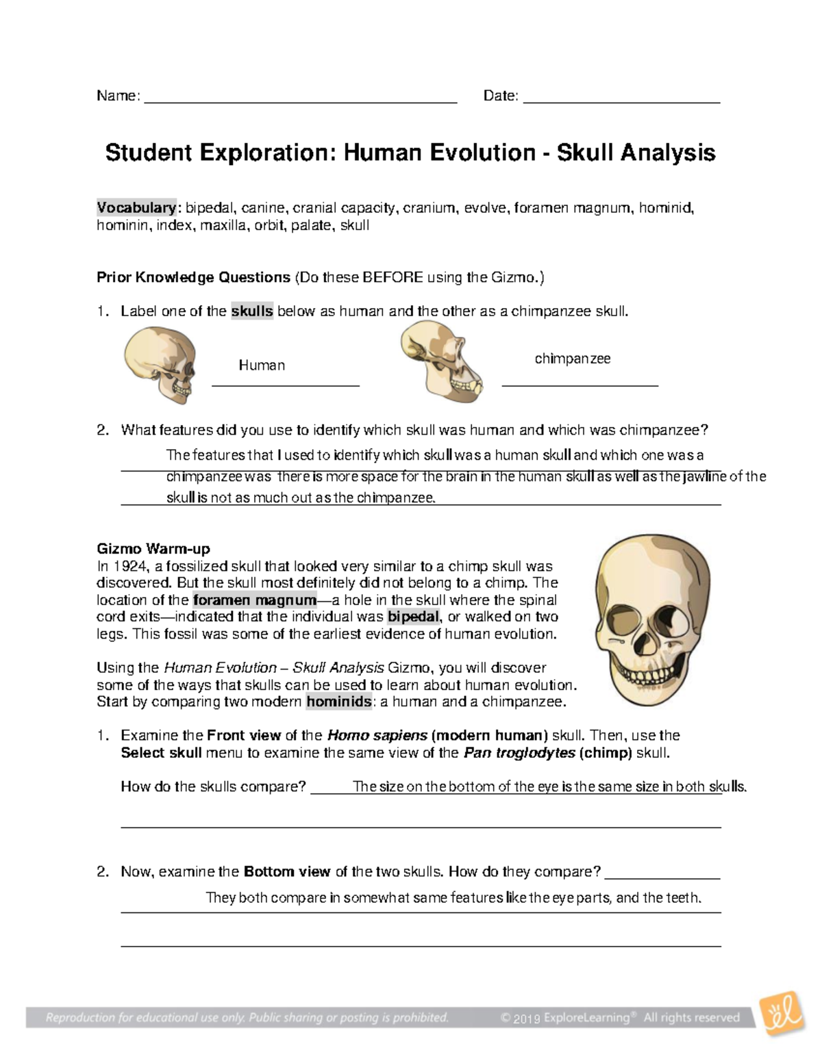 Andi Lef Kowitz - Gizmo BODY Skeletal Human Evolution - 2019 Name ...