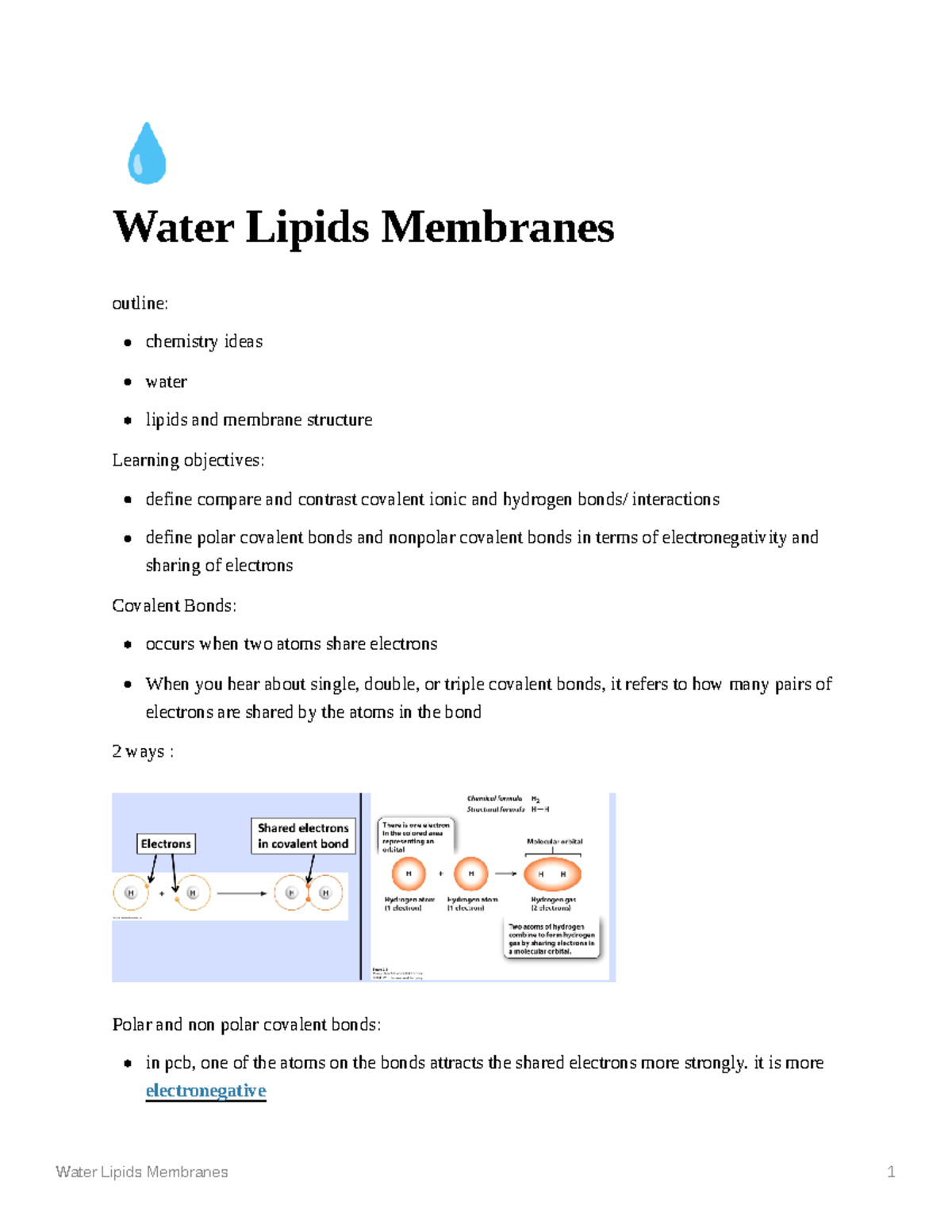 Water Lipid Membrane - Water Lipids Membranes outline: chemistry ideas ...