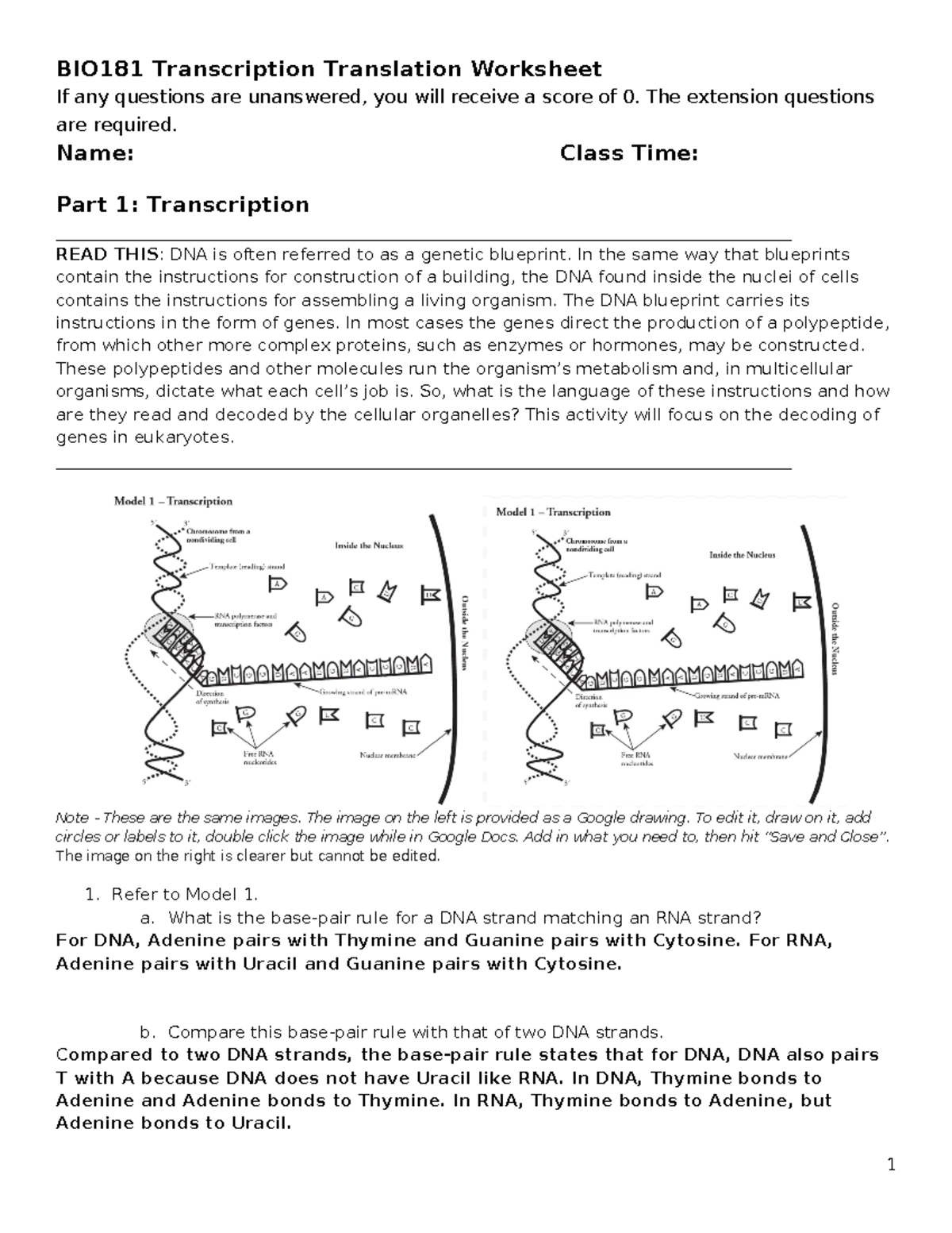 BIO181 - The extension questions are required. Name: Class Time: Part 1 ...