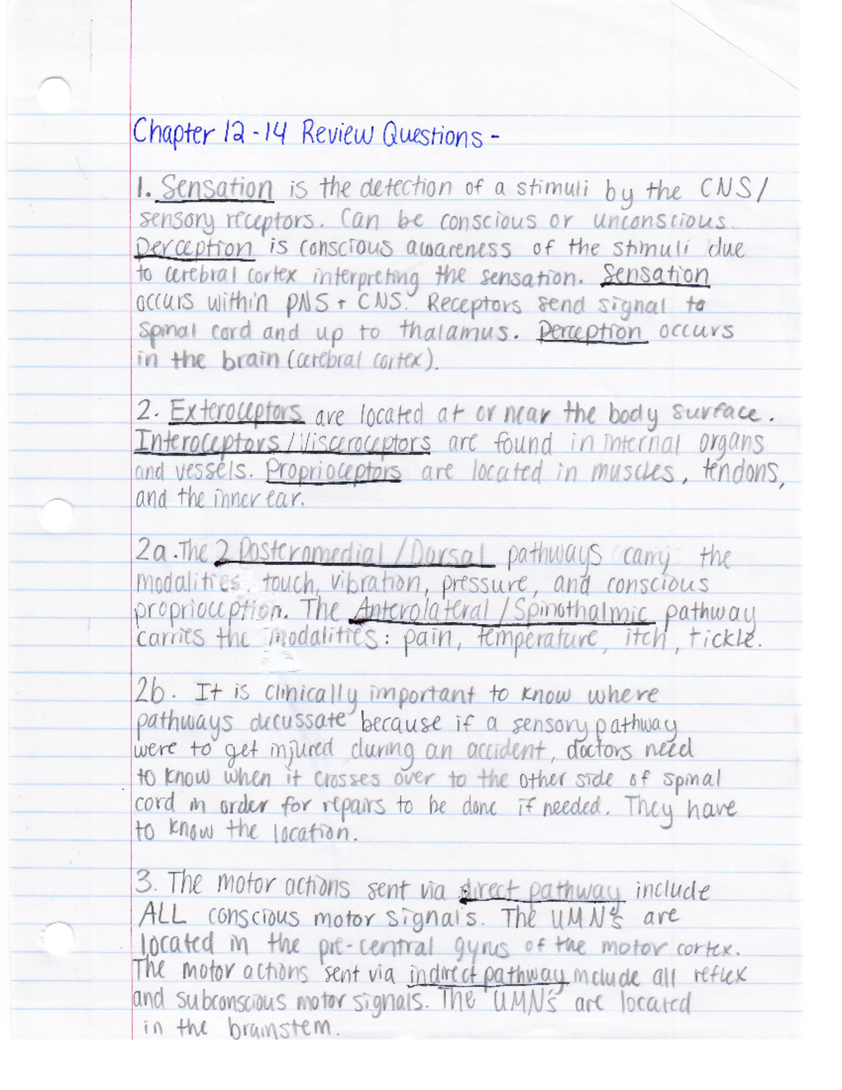 Document - ANAT AND PHYS - BIO-254 - Studocu