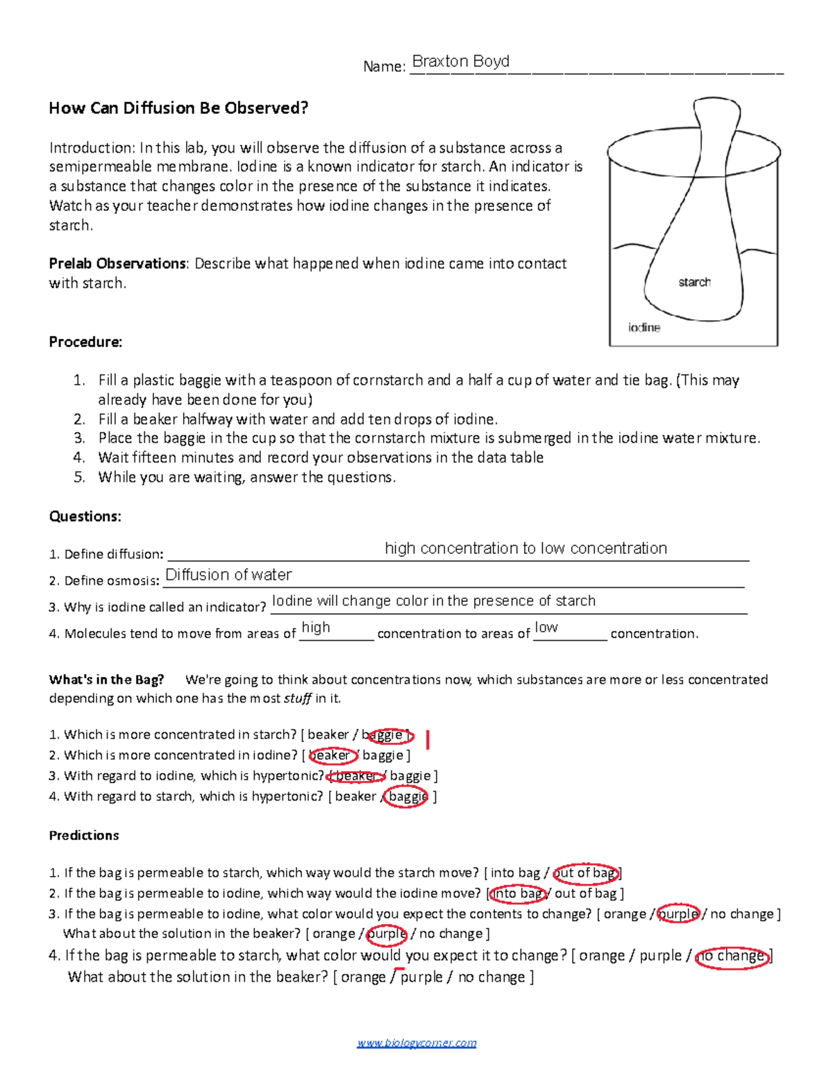BIO2 LAB - BOYD, Braxton - Name ...