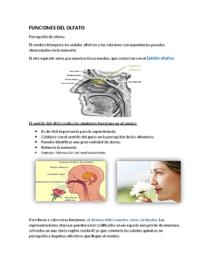 Activity 17 - njjjk - ACTIVITY 17 ADVERBS OF FRECUENCY Put the words in ...