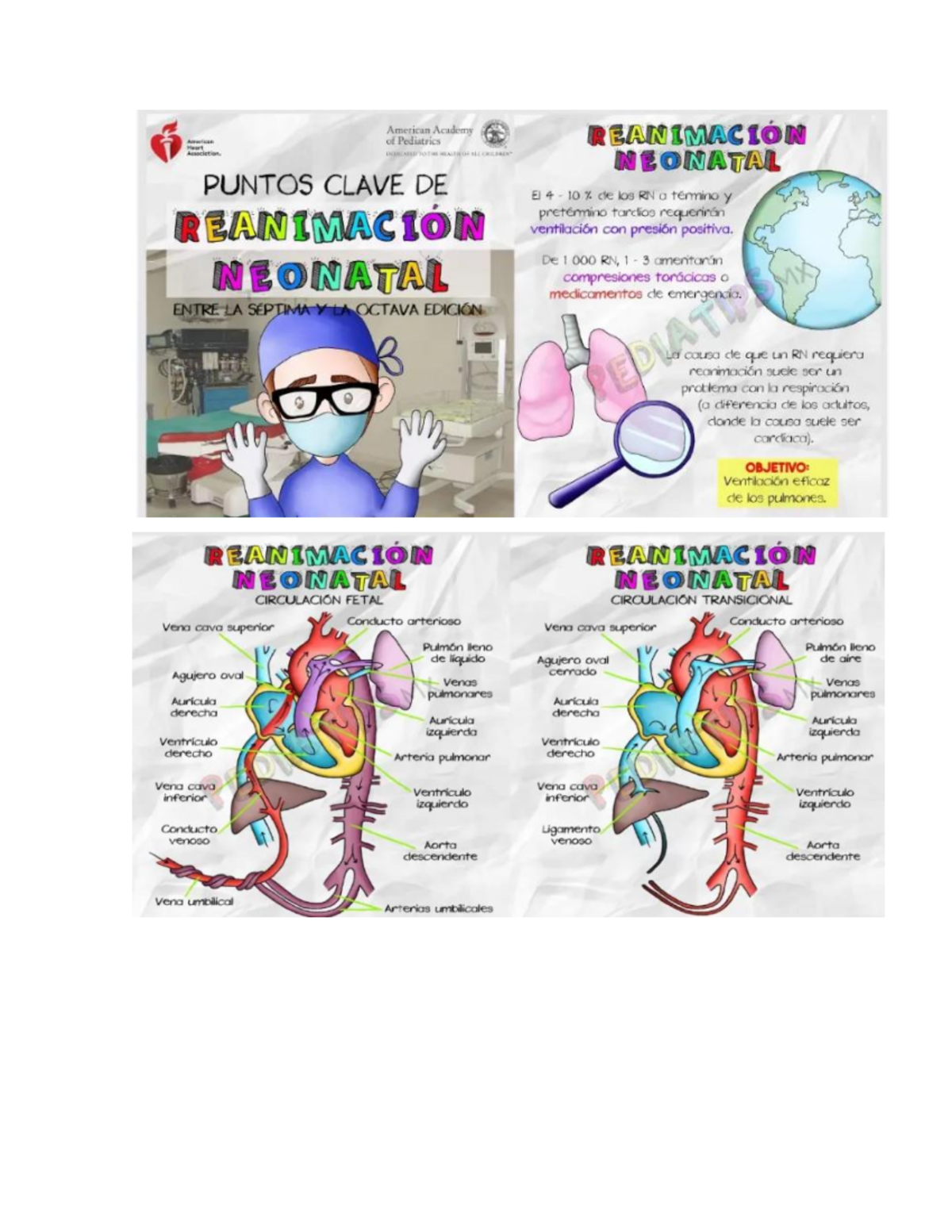 NALS 8va puntos claves - Medicina - Studocu