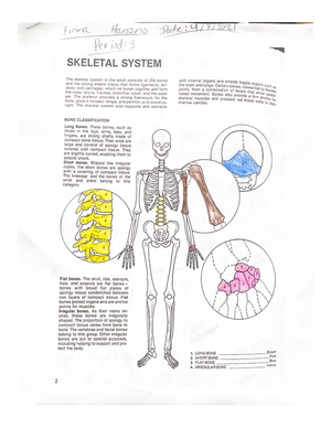 Christmas puzzle - ……… - Studocu