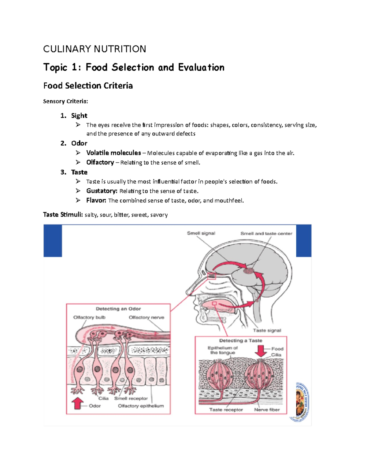 Culinary Nutrition - 2ND YEAR College Notes - CULINARY NUTRITION Topic ...