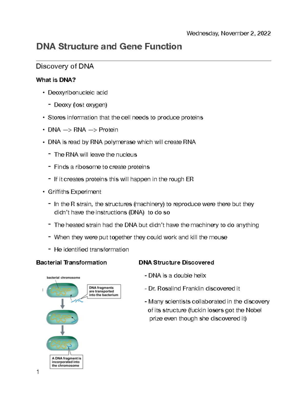 DNA Structure and Gene Function - DNA Structure and Gene Function ...