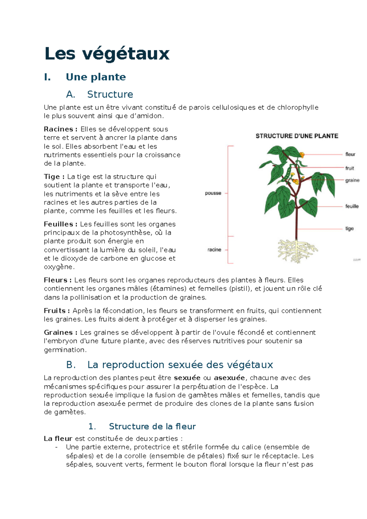 Les végétaux CRPE - Les végétaux I. Une plante A. Structure Une plante ...