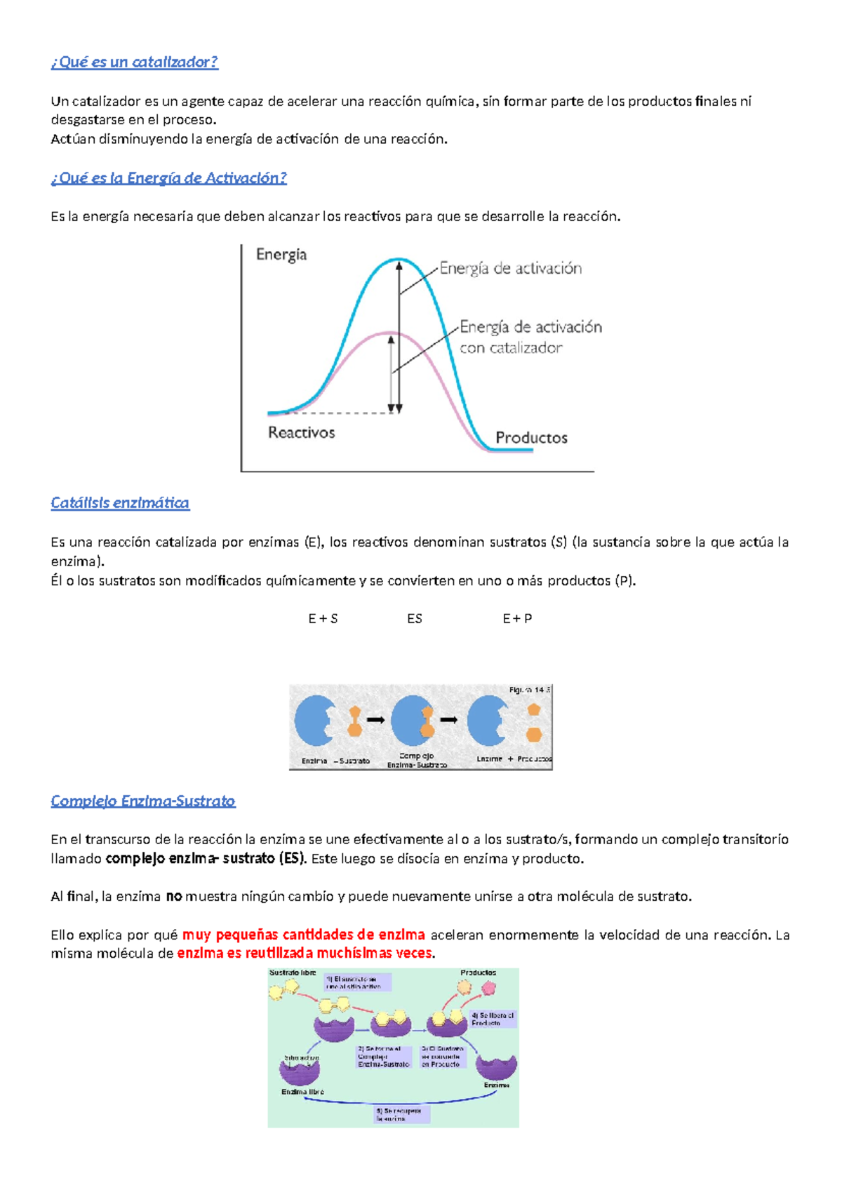 Enzimas - ¿Qué es un catalizador? Un catalizador es un agente capaz de ...