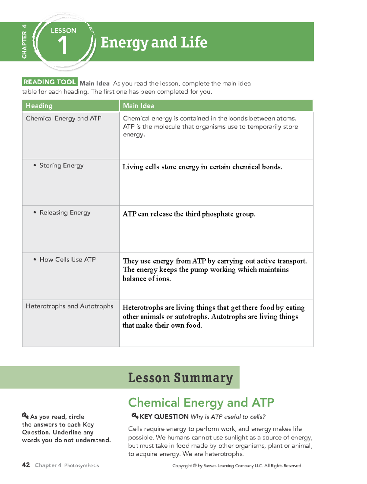 BIO 3CM CH04 Foundations - CHAPTER 4 LESSON 1 Energy and Life Chemical ...