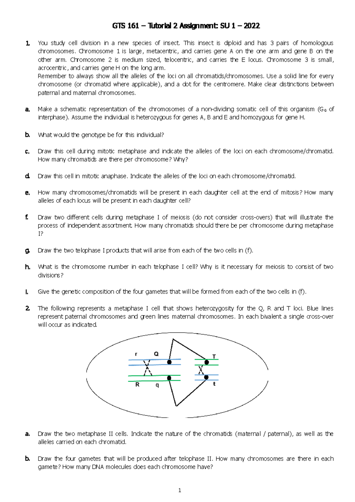 GTS 161 Tutorial 2 Assignment SU 1 2022 - GTS 161 – Tutorial 2 Assignment: SU 1 – 2022 You study ...