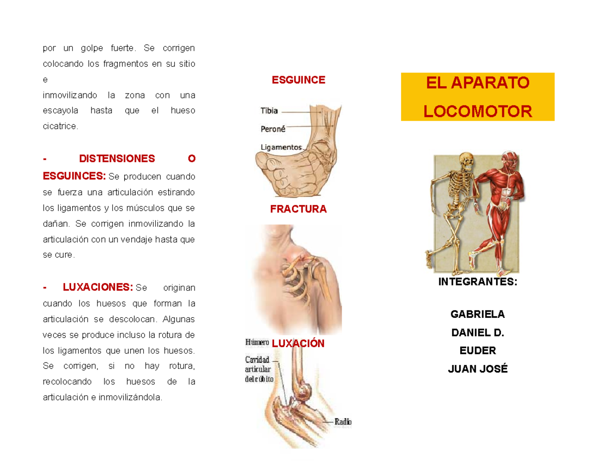 Folleto EL Aparato Locomotor - por un golpe fuerte. Se corrigen ...