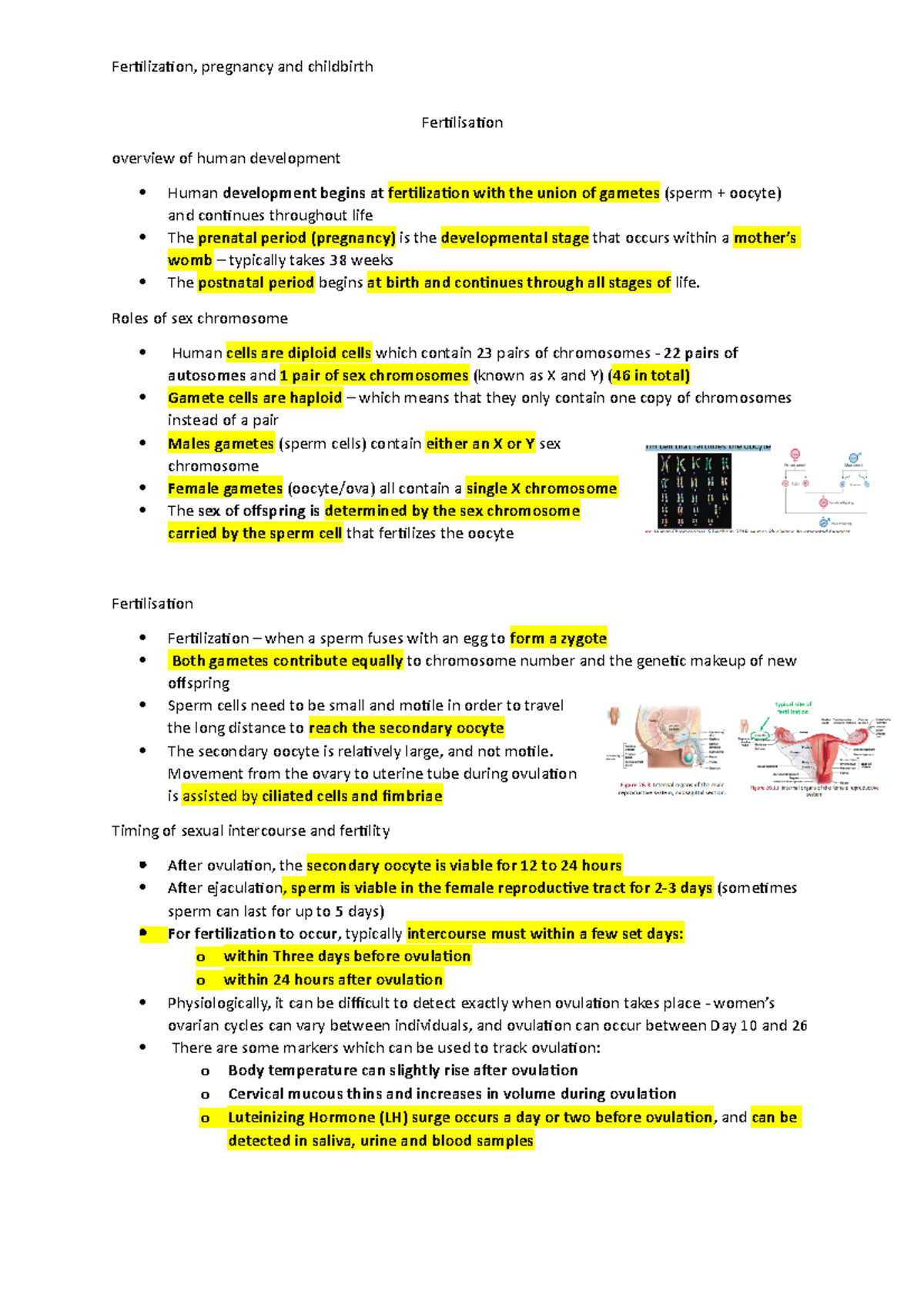 WK 12 Fertilisation - lec 12 notes - Fertilisation overview of human ...