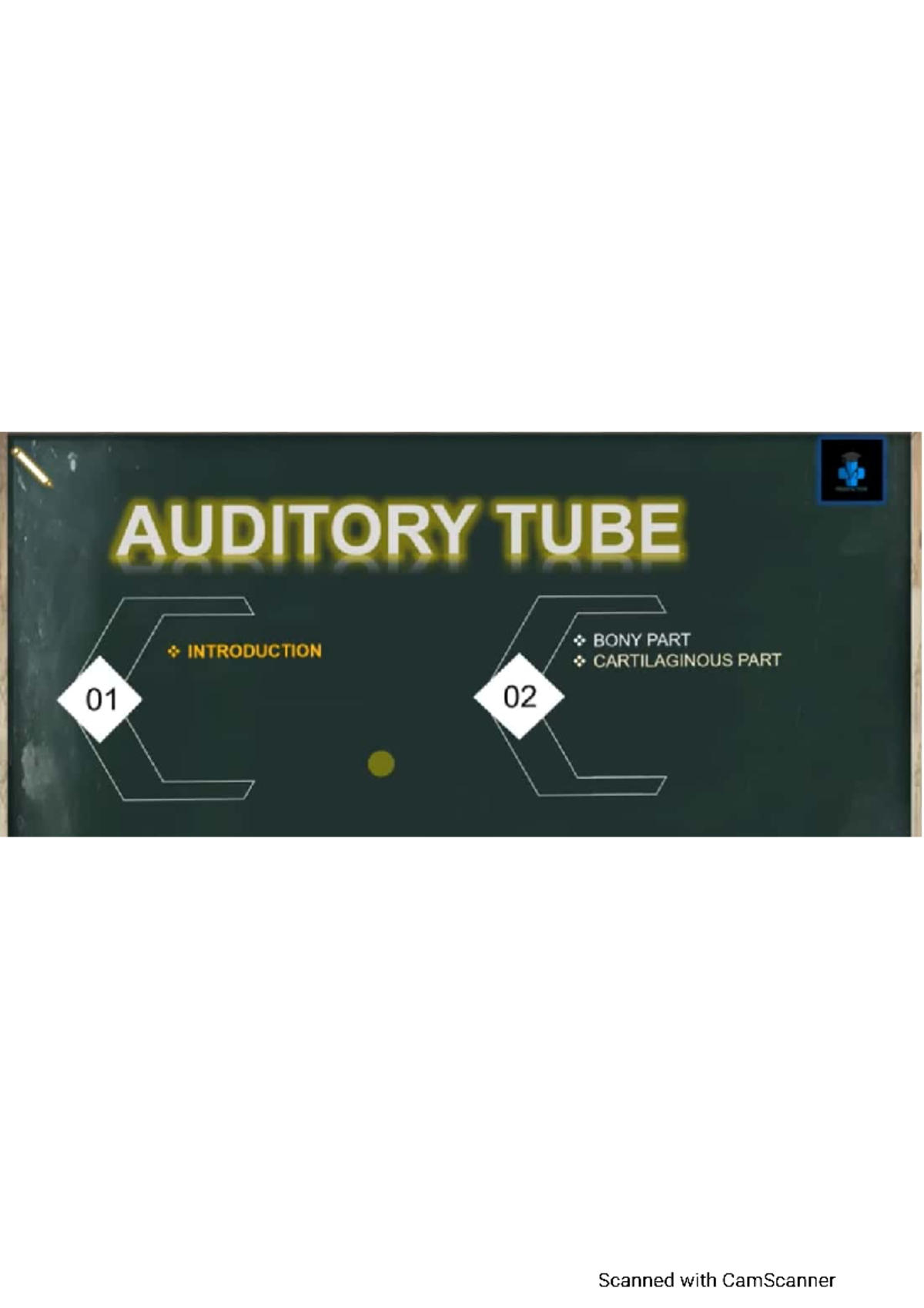 Eustachian tube-auditory tube-pharyngitympanic tube - BDS - Studocu