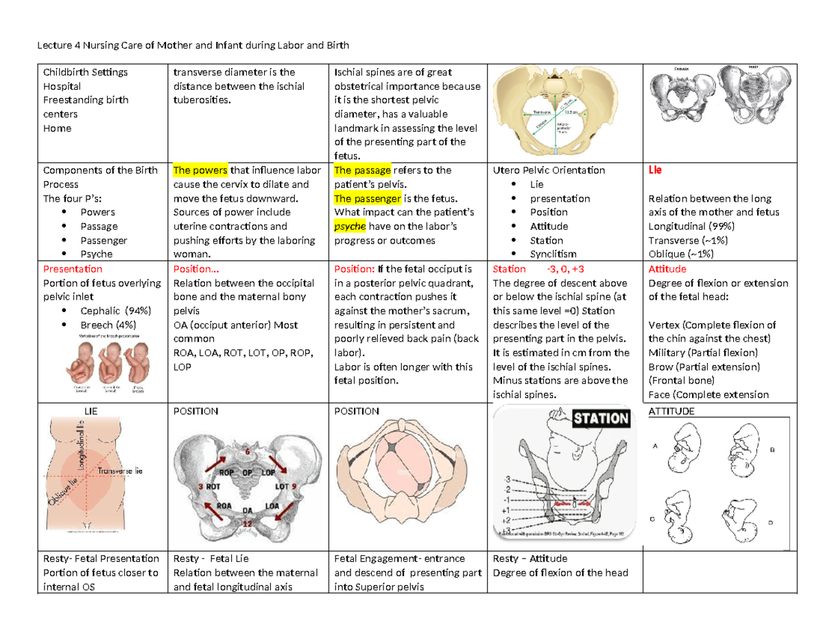 Lecture 4 Nursing Care of Mother and Infant during Labor and Birth ...