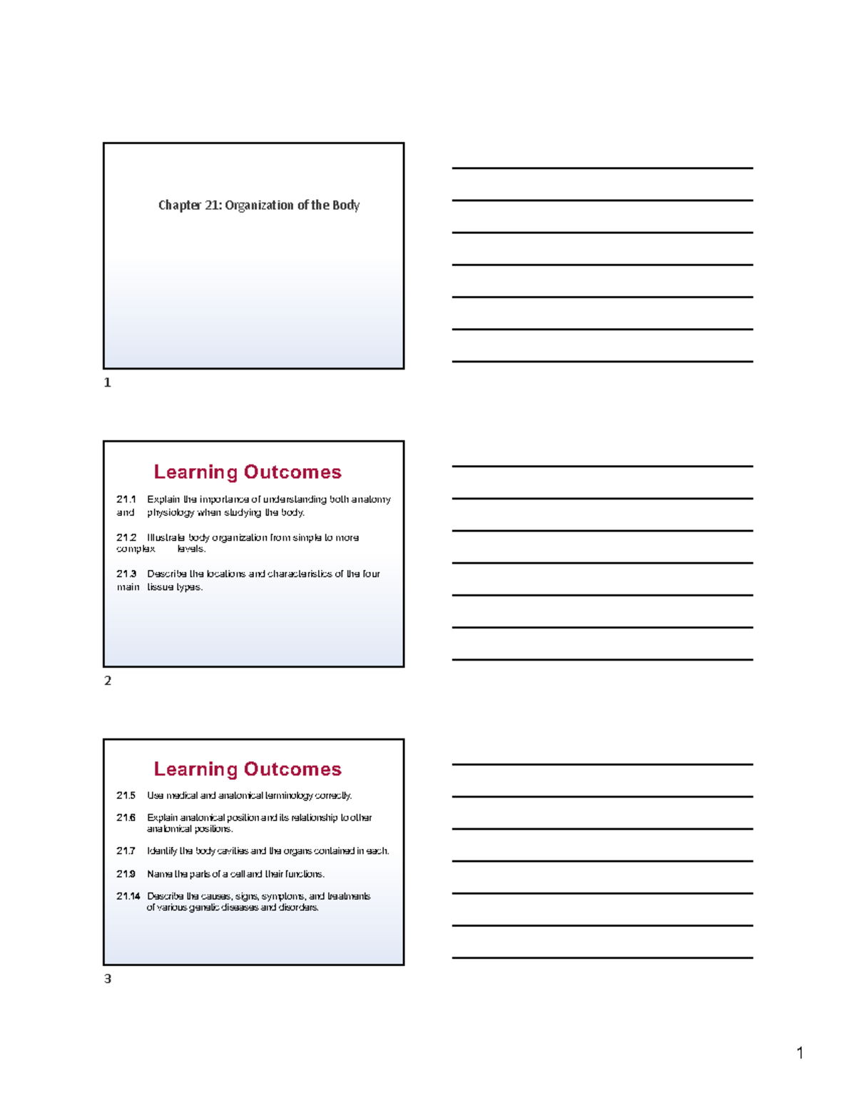 Organizational and Muscle - Chapter 21: Organization of the Body 1 ...