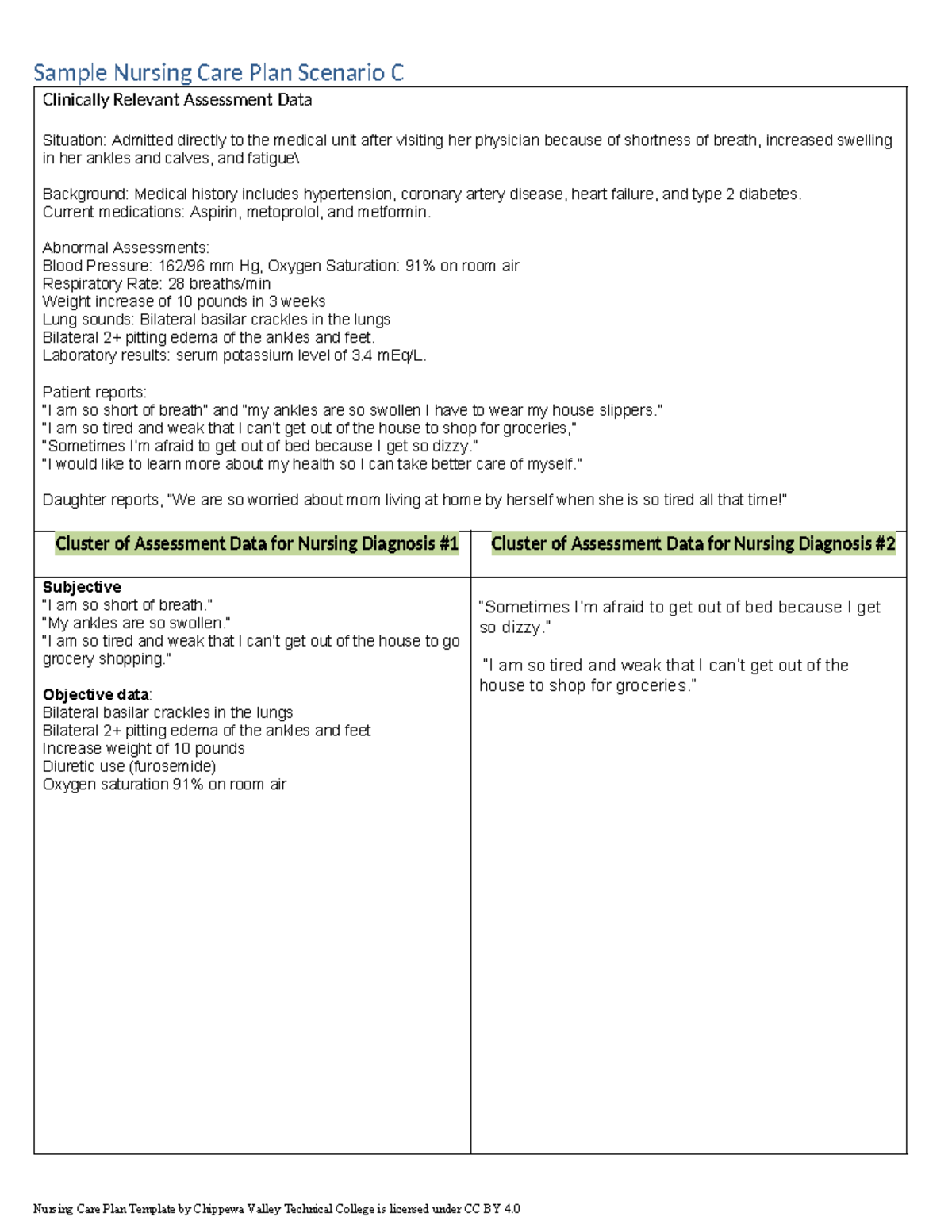 Sample Abbreviated Nursing Care Plan - Sample Nursing Care Plan ...