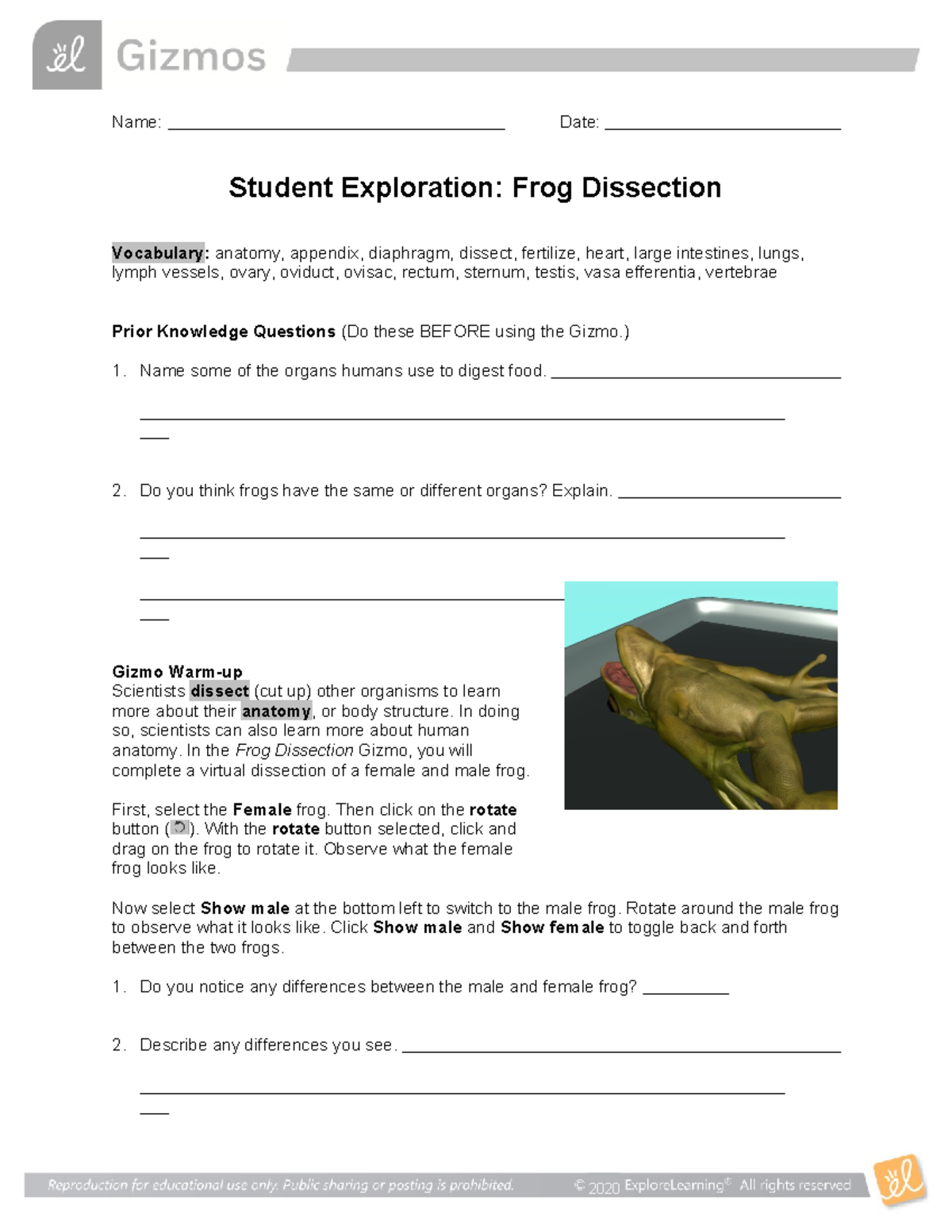 Frog Dissection SE 1 - frog - Name: Date: Student Exploration: Frog ...