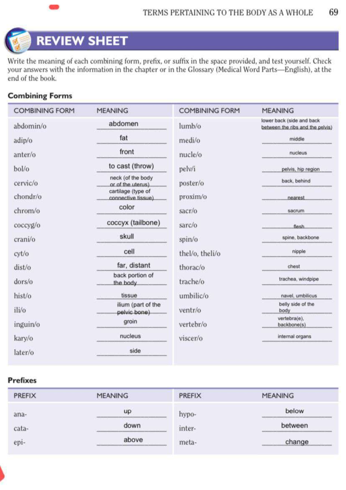 50414067 dffa 4bb8 8dab 530d7c04e9e4 - TERMS PERTAINING TO THE BODY AS ...