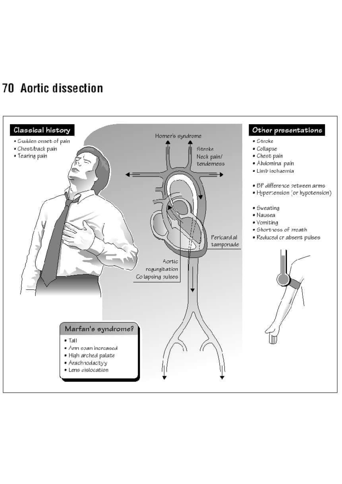 Cardio Diagram Lecture Notes Medical Faculty Studocu