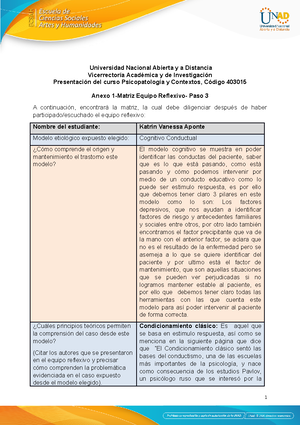 Anexo 1 - Matriz Estudio de Caso -Paso 2 grupo 41 - Paso 2-Explicacion teórica de la ...