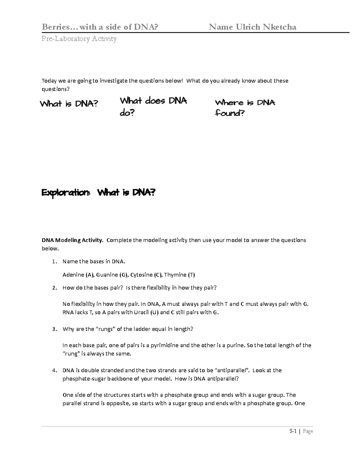 Berries DNA Extract MDLL HS Student Handouts - Berries.. a side of DNA ...