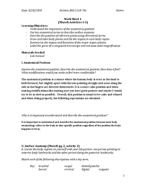 Clinical Case Inner Ear Study - Clinical Case Study Special Senses ...