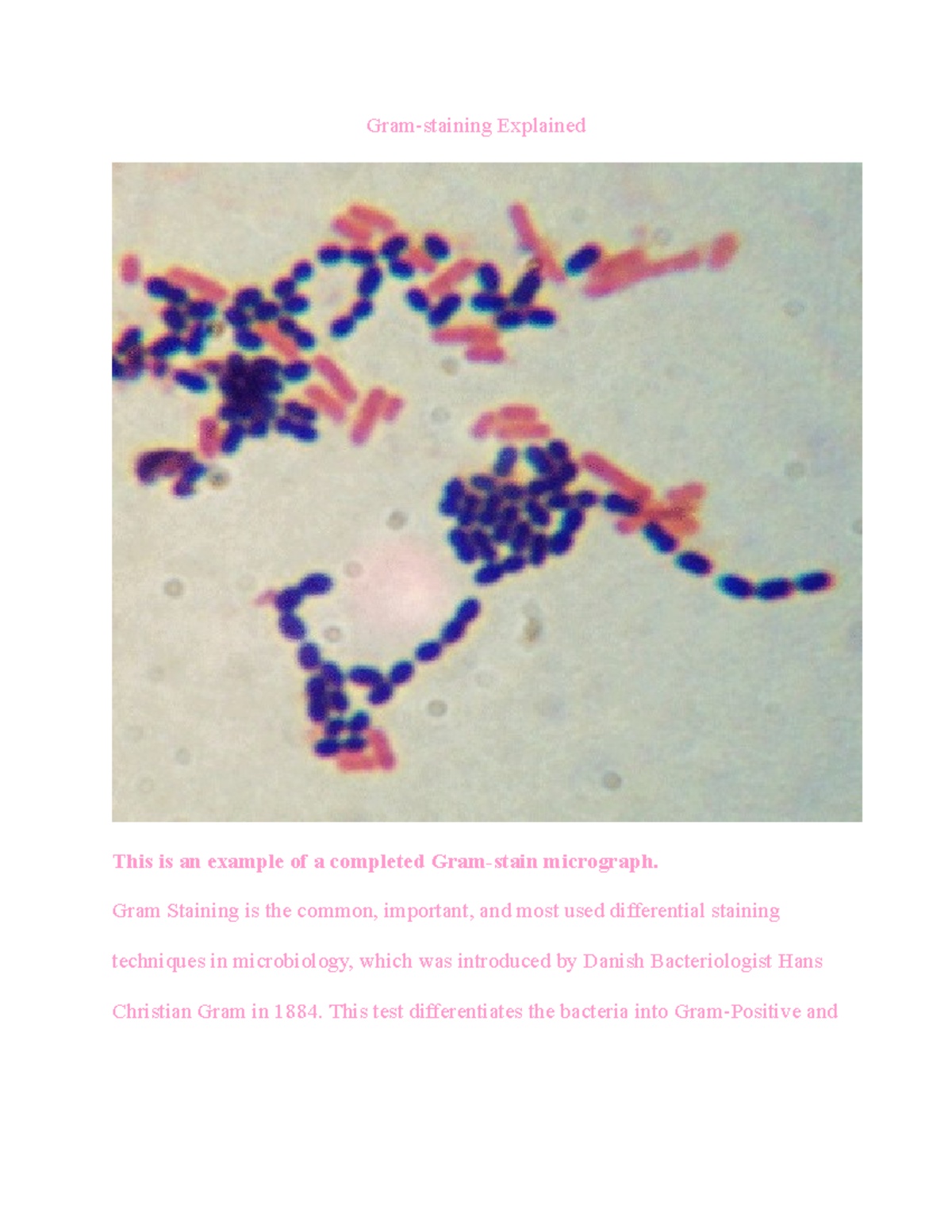 GRAM STAIN LECTURE AND - Studocu