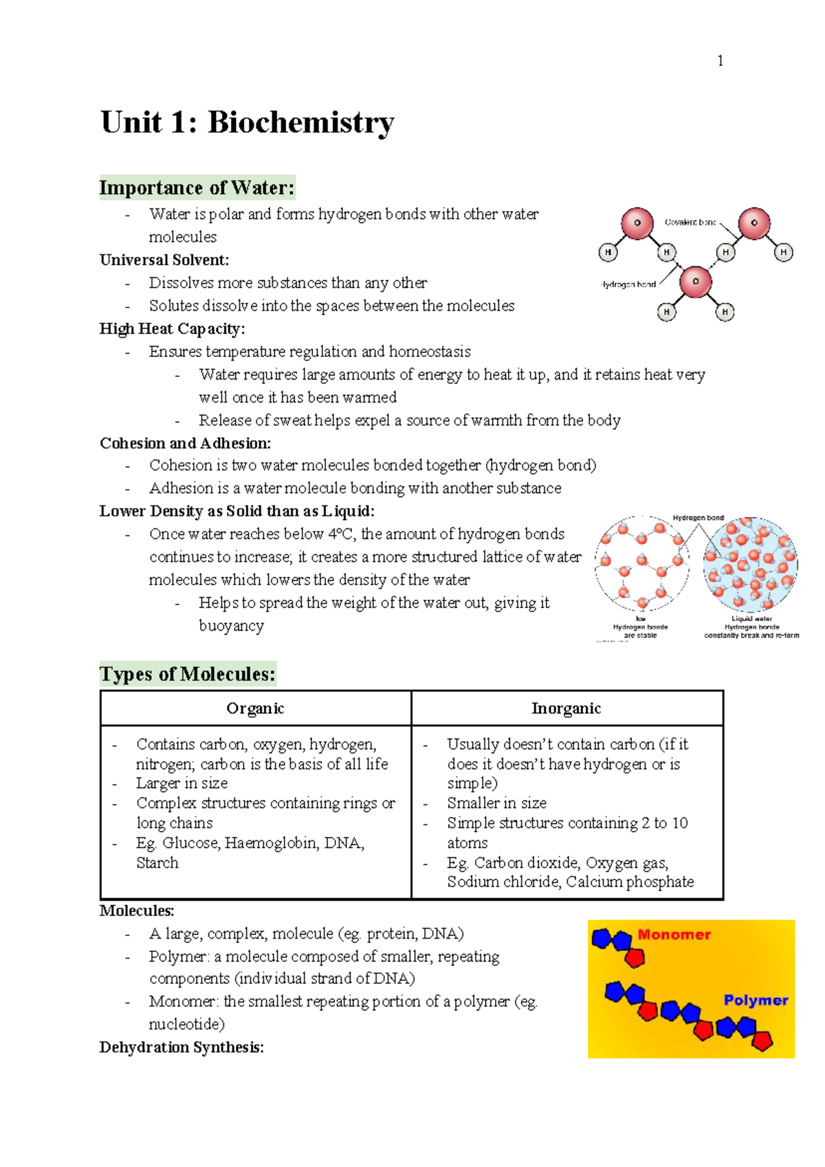 SBI4U Biochemistry Notes - Unit 1: Biochemistry Importance of Water ...