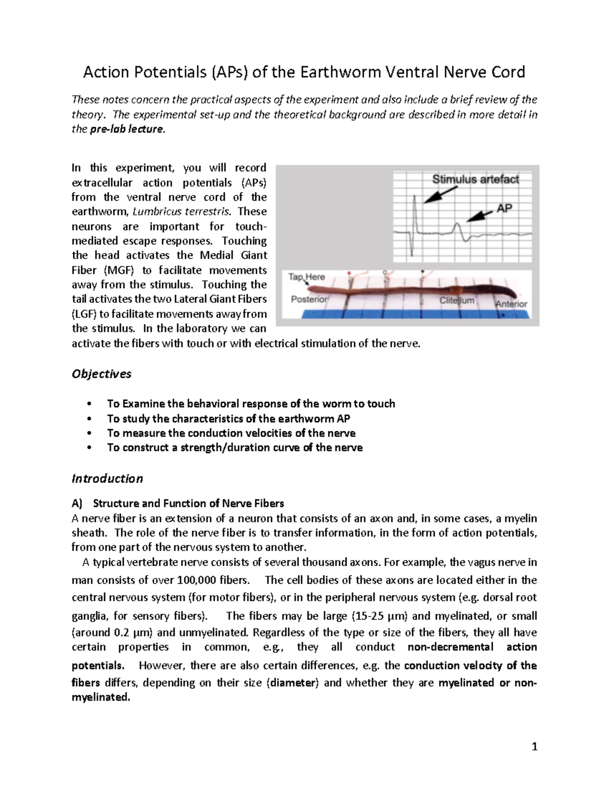 Earthworm Action Potentials Manual 2017 - Warning: TT: undefined ...