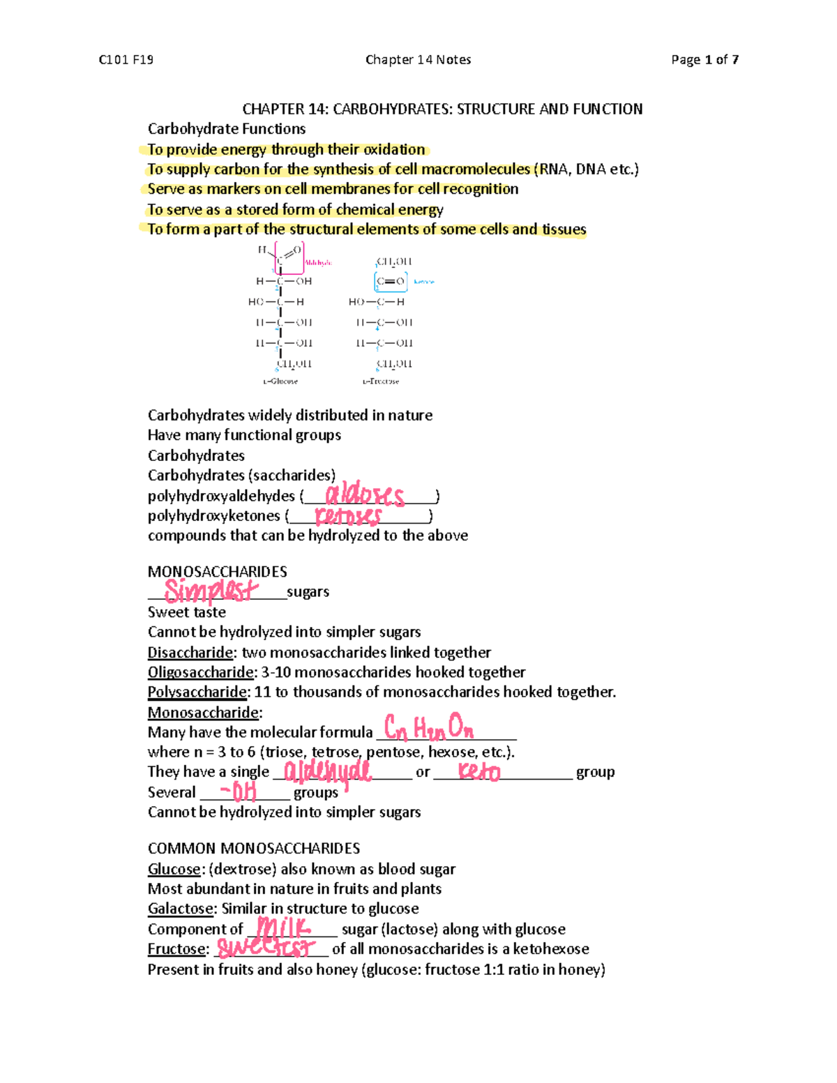 Chapter 14 Notes - CHAPTER 14: CARBOHYDRATES: STRUCTURE AND FUNCTION ...