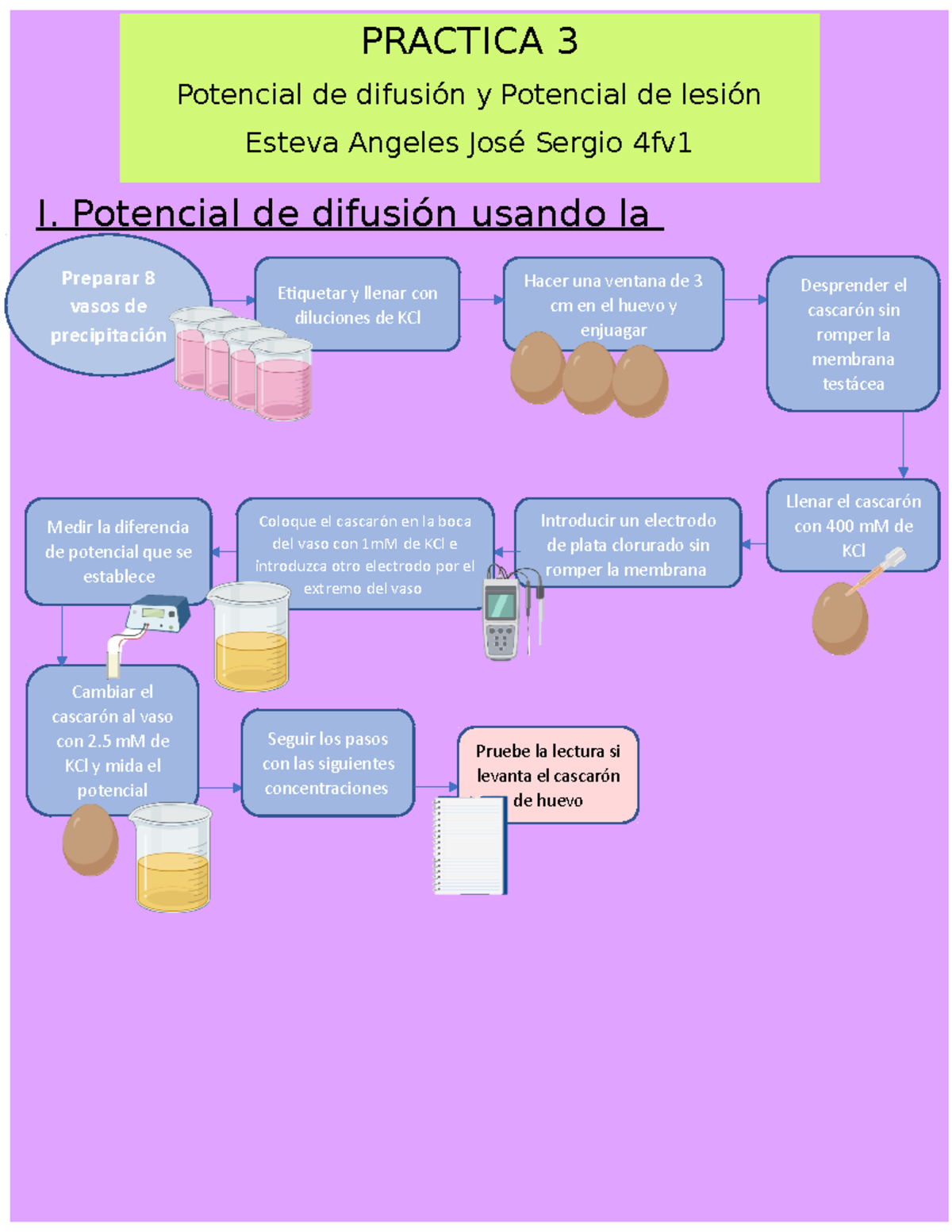 Rana y preparación para el musculo de rana - PRACTICA 3 Potencial de ...