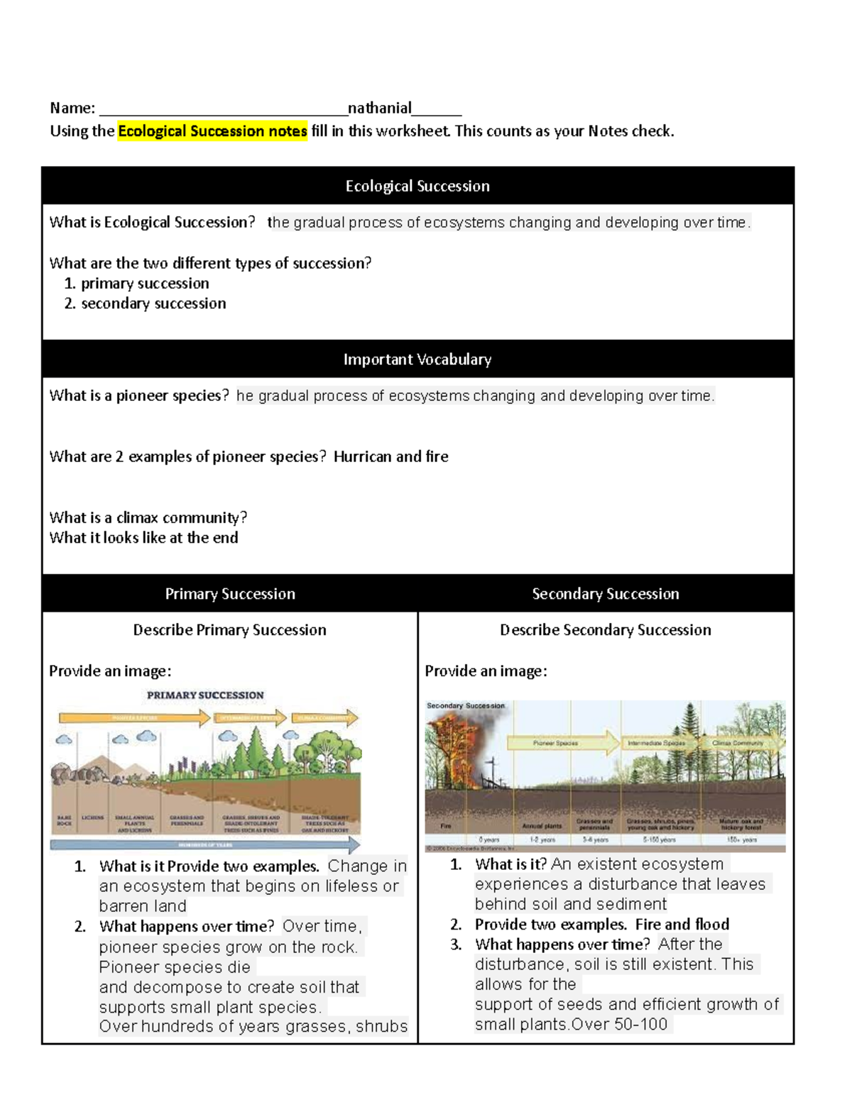 Ecological Succession Student Notes Worksheet Ecological Succession