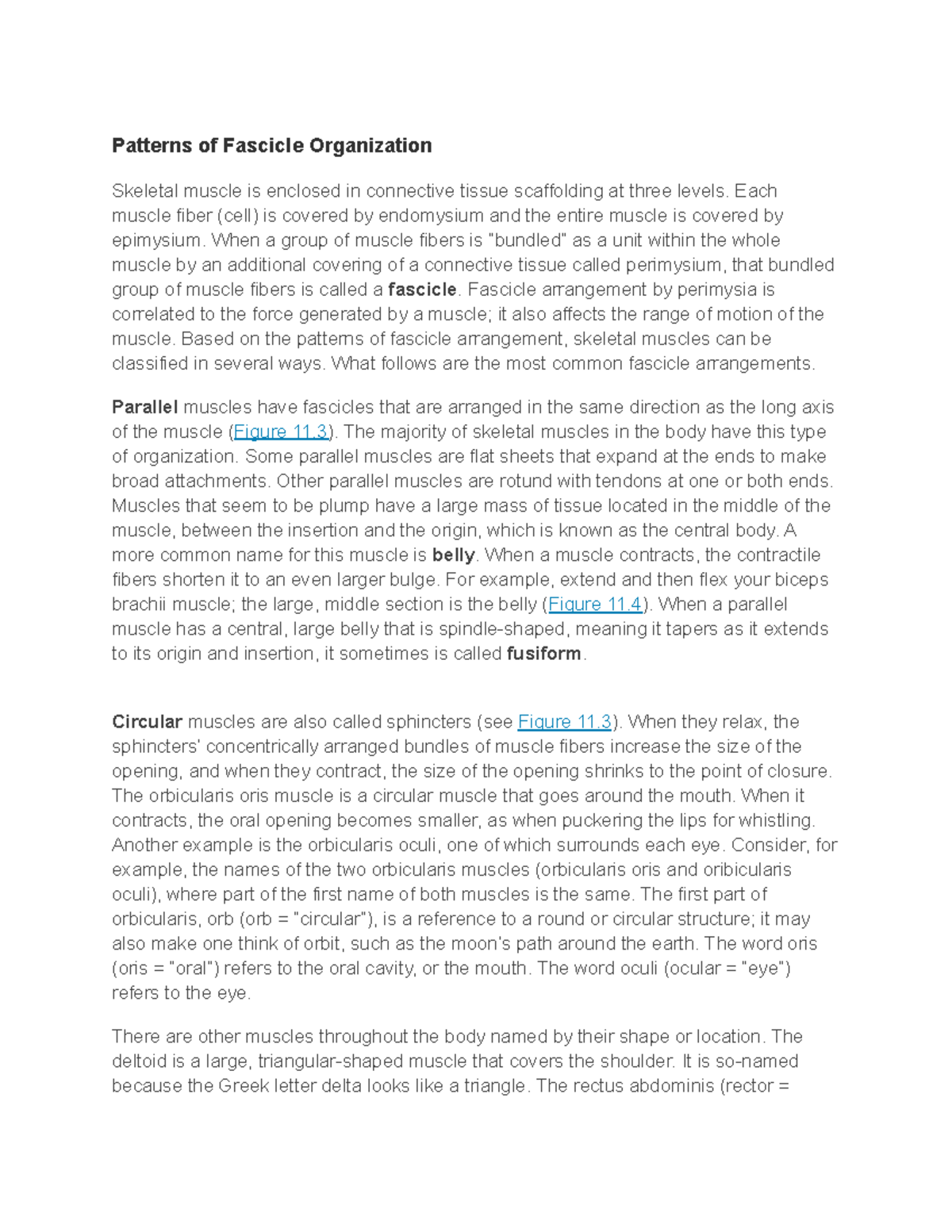 Biology Notes 42 - All about muscles - Patterns of Fascicle ...