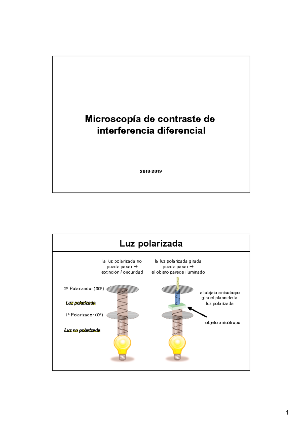 Microscopía de contraste de interferencia diferencial - Microscopía de ...