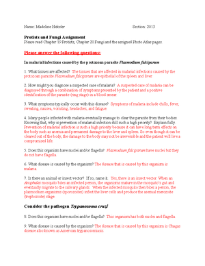 BIO 245 L Selection of Mutants Assignment IP - Selection of Mutants Assignment Name(s) Section I ...