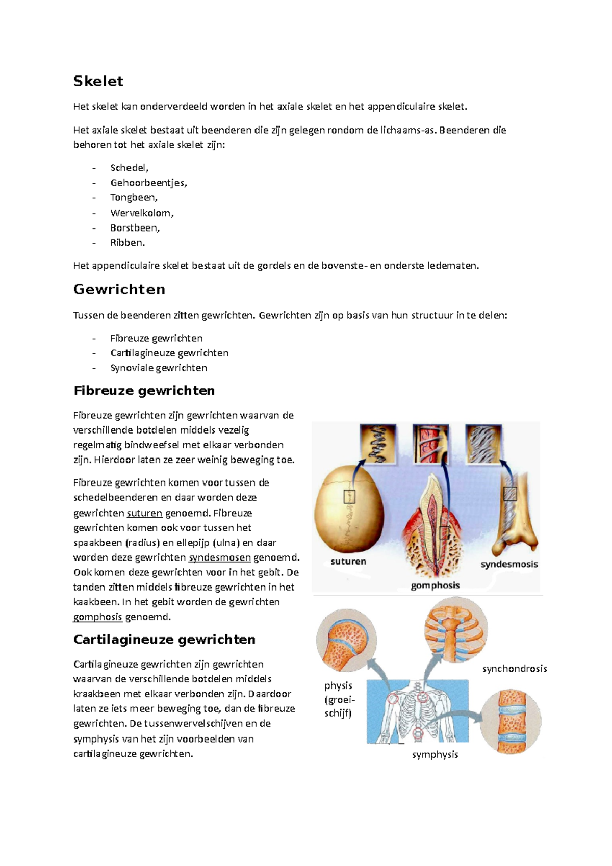 WDD 1 Elearning week 1 skelet gewrichten - Skelet Het skelet kan ...